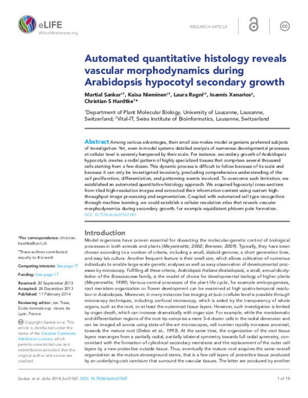 (PDF) Automated quantitative histology reveals vascular morphodynamics ...