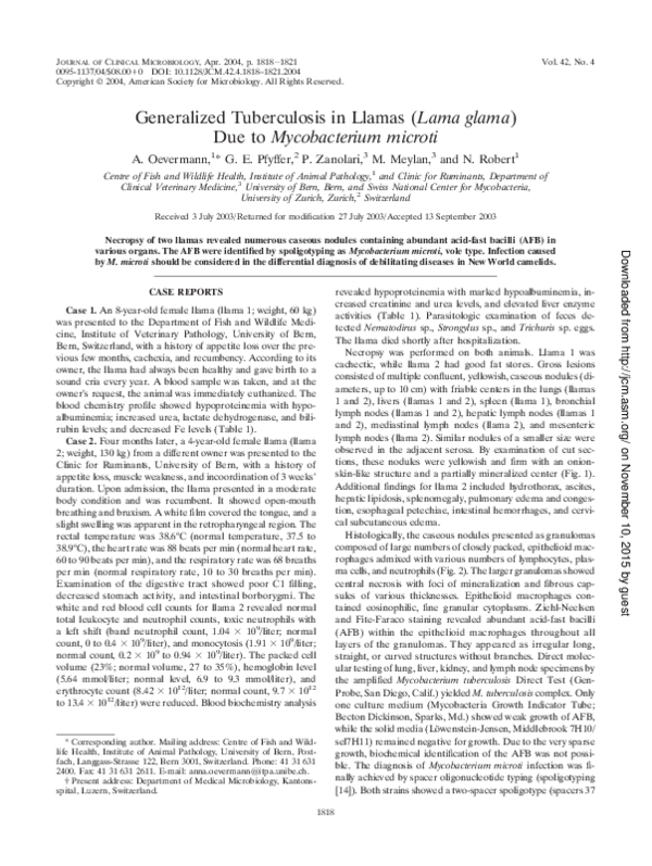 (PDF) Generalized Tuberculosis in Llamas (Lama glama) Due to ...