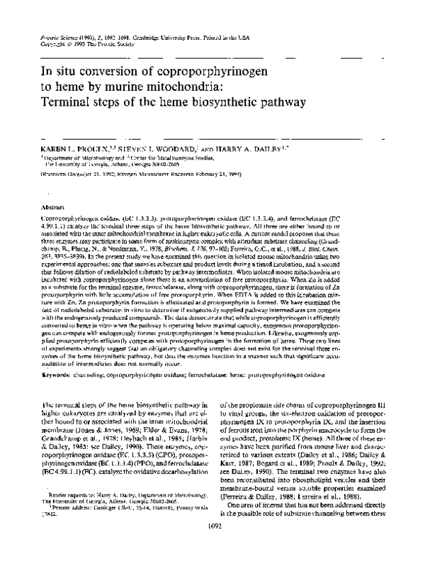 (PDF) In situ conversion of coproporphyrinogen to heme by murine ...