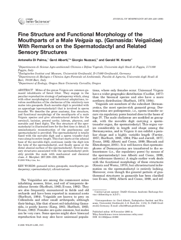 (PDF) Fine structure and functional morphology of the mouthparts of a ...