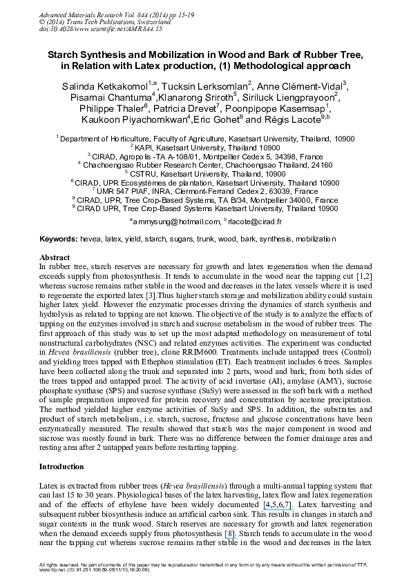 (PDF) Starch Synthesis and Mobilization in Wood and Bark of Rubber Tree ...