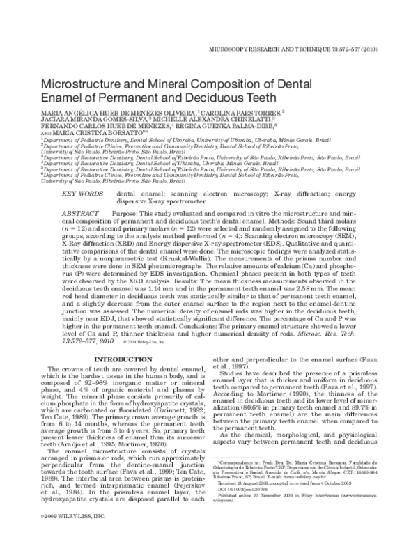 (PDF) Microstructure and mineral composition of dental enamel of ...