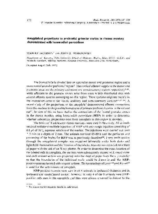 (PDF) Amygdaloid projections to prefrontal granular cortex in rhesus ...
