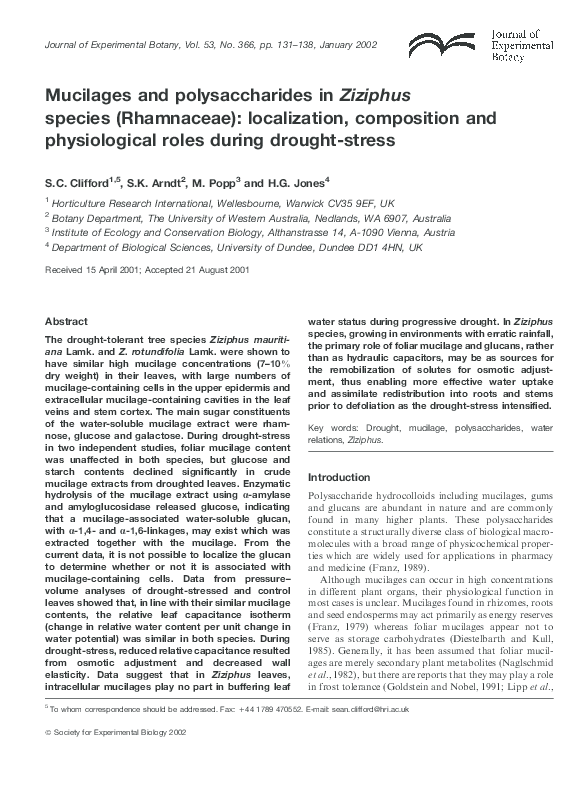 (PDF) Mucilages and polysaccharides in Ziziphus species (Rhamnaceae): localization, composition ...
