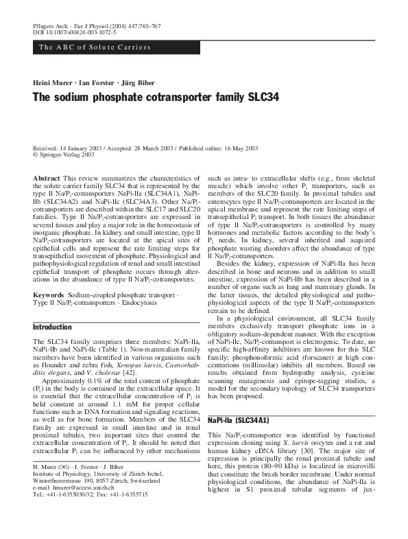 (PDF) The sodium phosphate cotransporter family SLC34