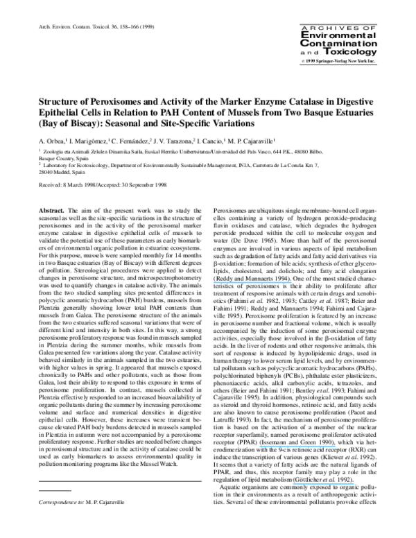 (PDF) Structure of Peroxisomes and Activity of the Marker Enzyme ...