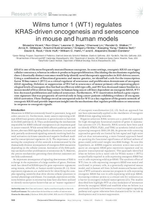 Pdf Wilms Tumor 1 Wt1 Regulates Kras Driven Oncogenesis And