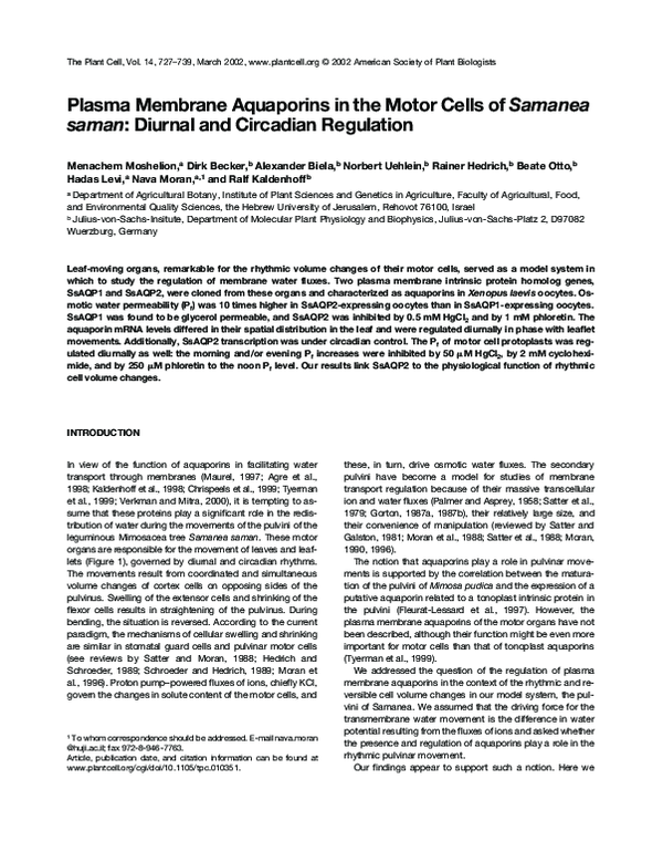 (PDF) Plasmamembrane aquaporins in the motor cells of Samanea saman ...