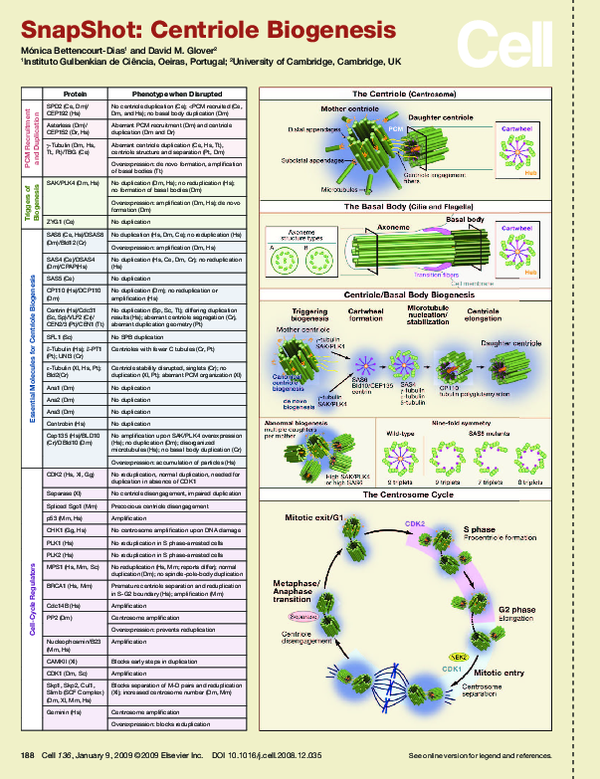 (PDF) SnapShot: Centriole Biogenesis | David Glover - Academia.edu