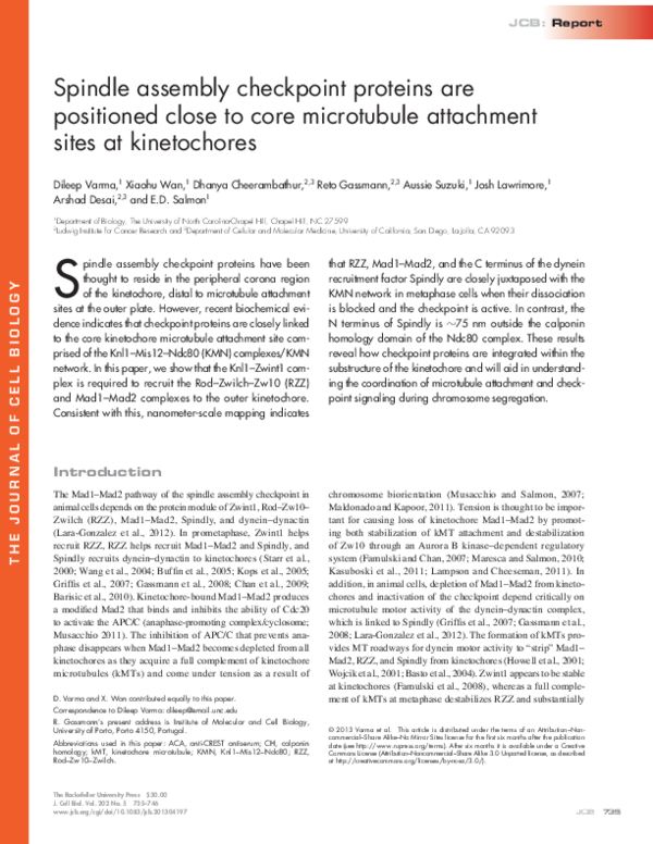 Spindle assembly checkpoint proteins are positioned close to core ...