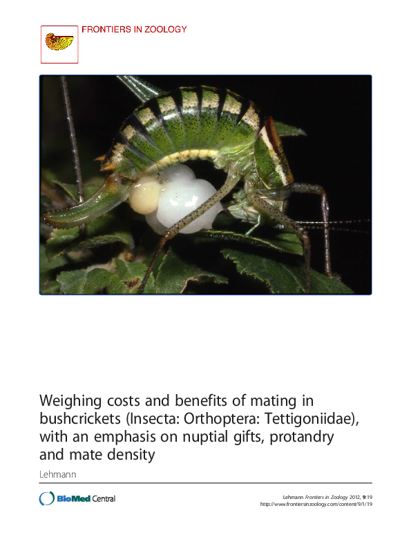(PDF) Weighing costs and benefits of mating in bushcrickets (Insecta ...