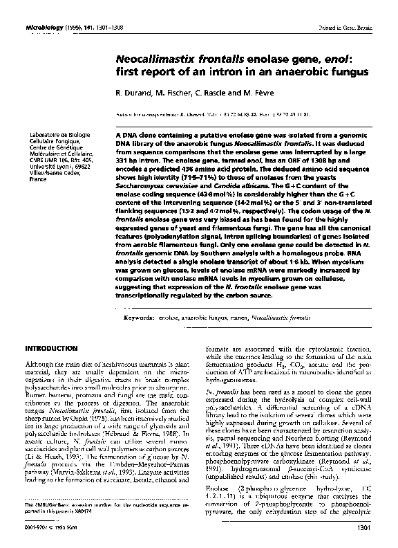 (PDF) Neocallimastix frontalis enolase gene, enol: first report of an ...