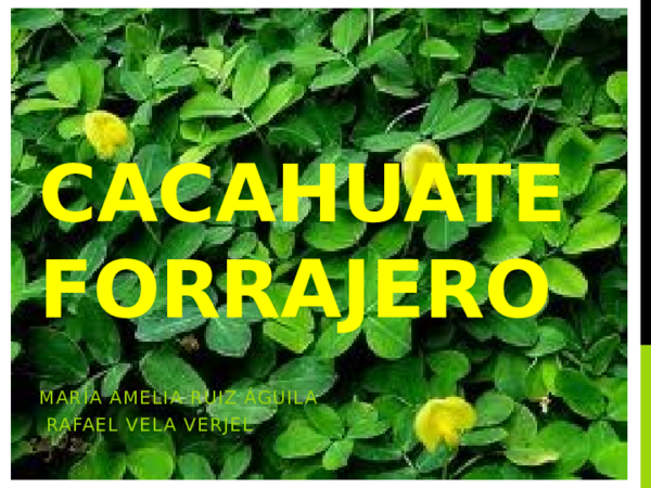 (PPT) 15 Cacahuate forrajero