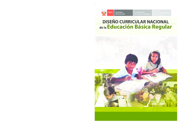(PDF) DCN del 2009