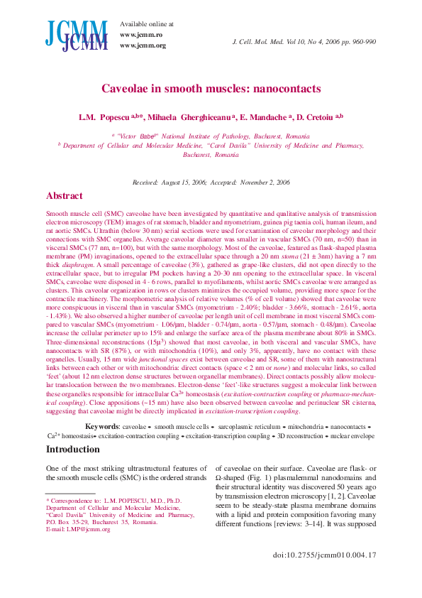(PDF) Caveolae in smooth muscles: nanocontacts