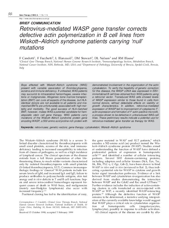 (PDF) Retrovirus-mediated WASP gene transfer corrects defective actin ...