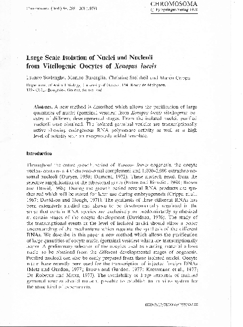 Large scale isolation of nuclei and nucleoli from vitellogenic oocytes ...