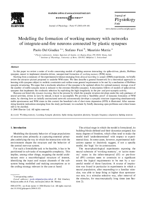 (PDF) Modelling the formation of working memory with networks of integrate-and-fire neurons ...