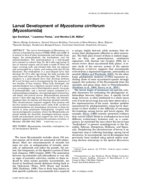 (PDF) Larval development ofMyzostoma cirriferum (Myzostomida)