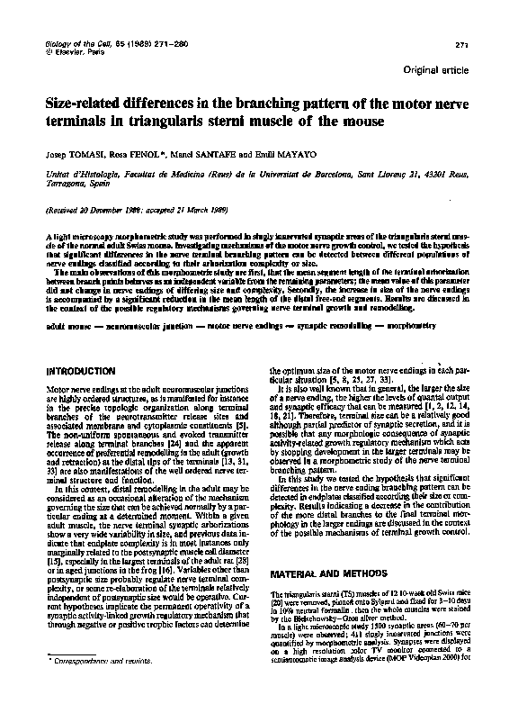 (PDF) Size-related differences in the branching pattern of the motor ...