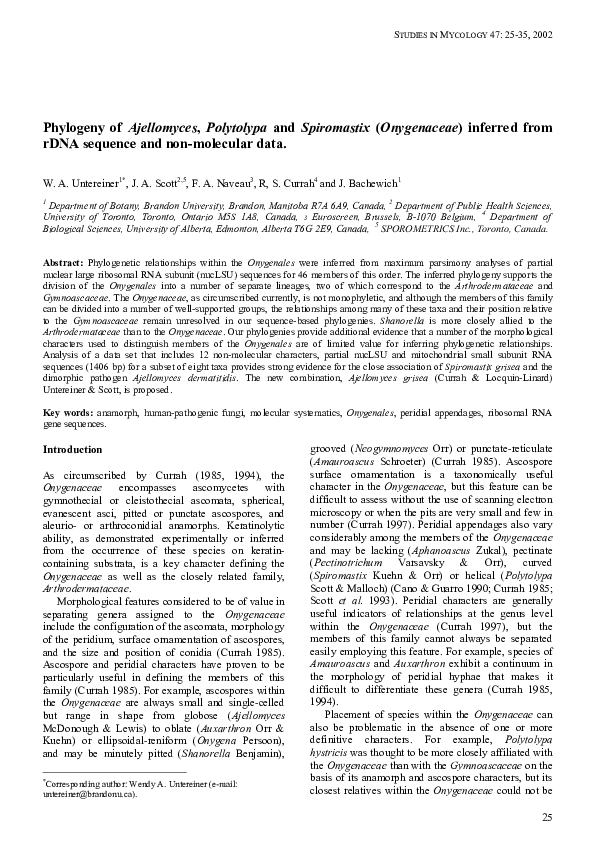 (PDF) Phylogeny of Ajellomyces, Polytolypa and Spiromastix (Onygenaceae ...