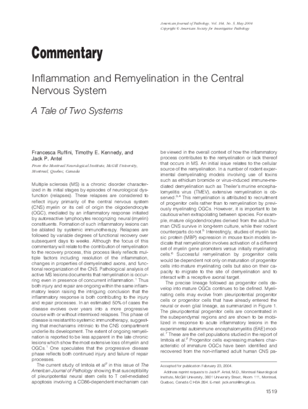 (PDF) Inflammation and Remyelination in the Central Nervous System