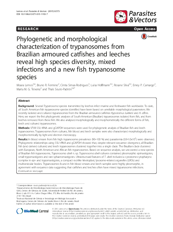(PDF) Phylogenetic and morphological characterization of trypanosomes from Brazilian armoured ...
