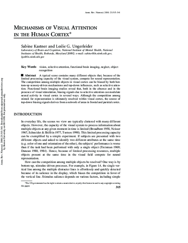 (PDF) Mechanisms of Visual Attention in the Human Cortex