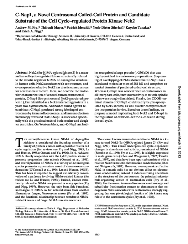 (PDF) C-Nap1, a novel centrosomal coiled-coil protein and candidate ...