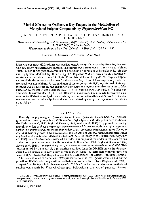 (PDF) Methyl Mercaptan Oxidase, a Key Enzyme in the Metabolism of ...
