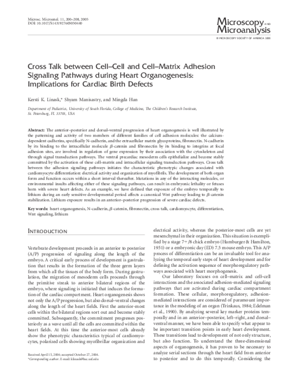 (PDF) Cross Talk between Cell–Cell and Cell–Matrix Adhesion Signaling ...