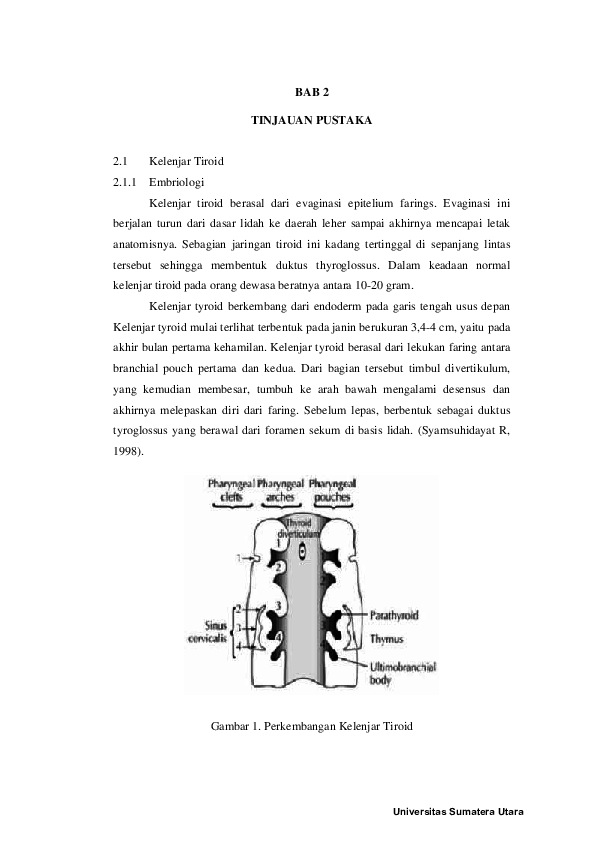 (PDF) Chapter II Hipotiroidisme