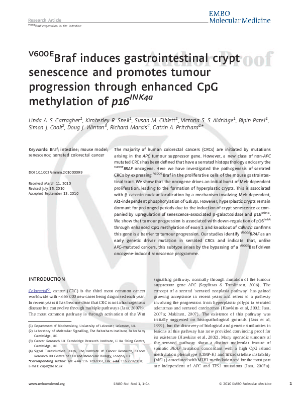 (PDF) V600E Braf induces gastrointestinal crypt senescence and promotes ...