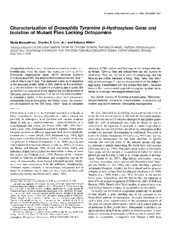 (PDF) Characterization of Drosophila Tyramine b-Hydroxylase Gene and ...