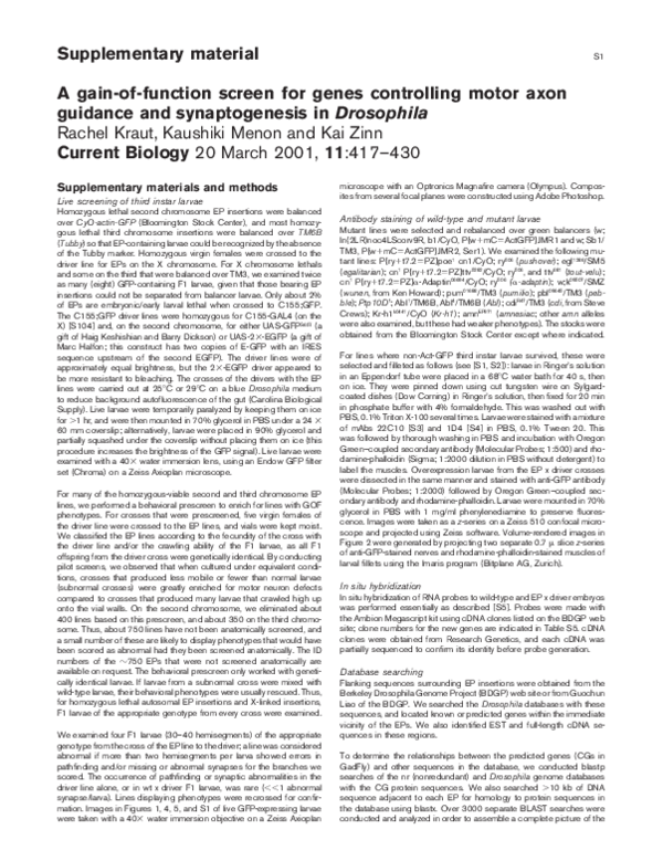 (PDF) A gain-of-function screen for genes controlling motor axon ...