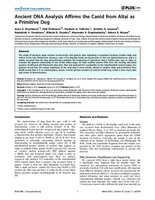(PDF) Ancient DNA Analysis Affirms the Canid from Altai as a Primitive Dog