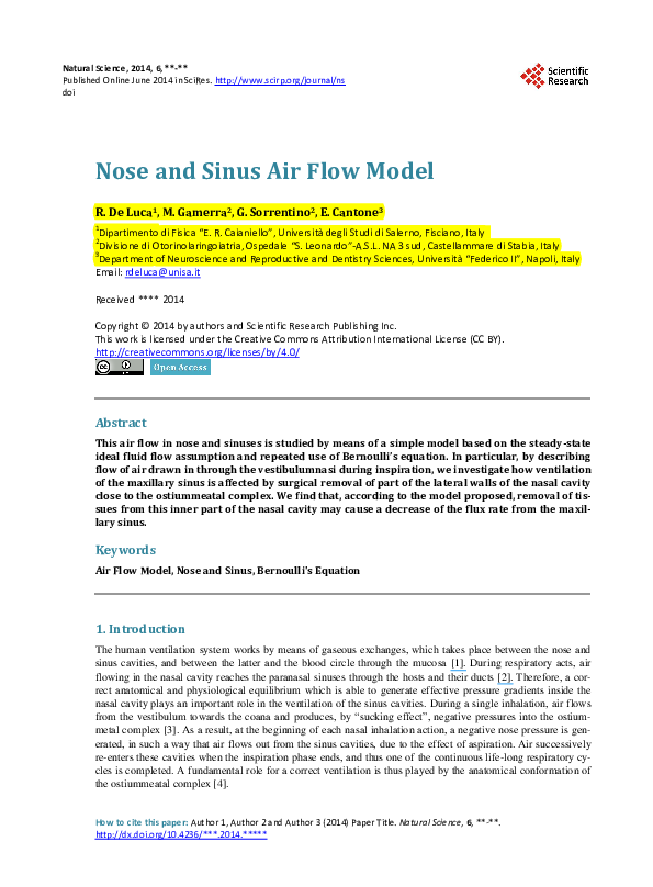 (PDF) Nose and Sinus Air Flow Model
