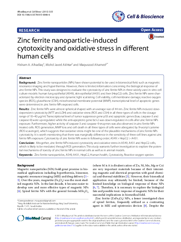 (PDF) Zinc ferrite nanoparticle-induced cytotoxicity and oxidative stress in different human cells