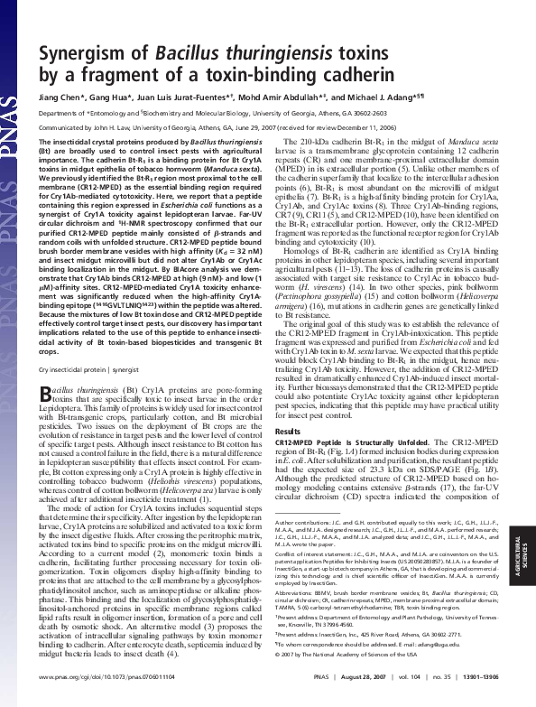 (PDF) Synergism of Bacillus thuringiensis toxins by a fragment of a ...