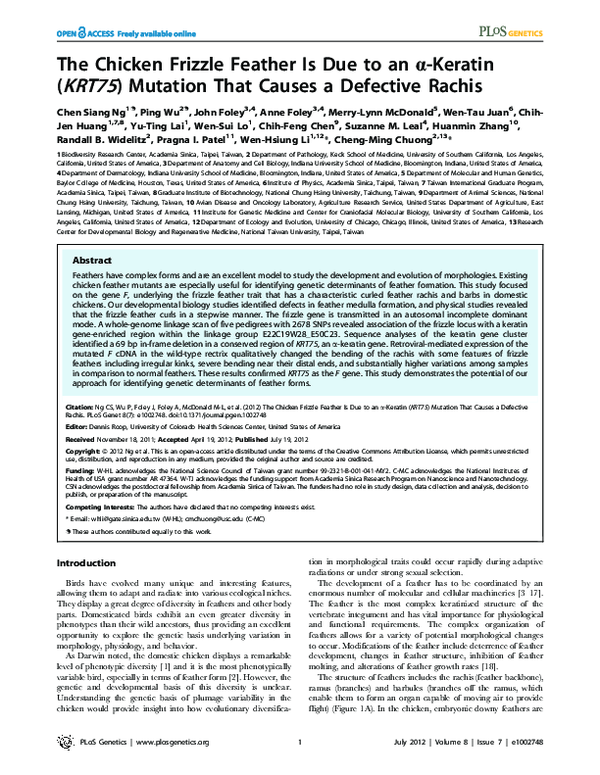 (PDF) The Chicken Frizzle Feather Is Due to an α-Keratin (KRT75 ...