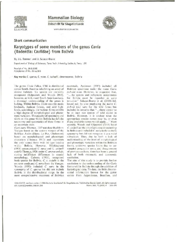 (PDF) Karyotypes of some members of the genus Cavia (Rodentia: Caviidae ...