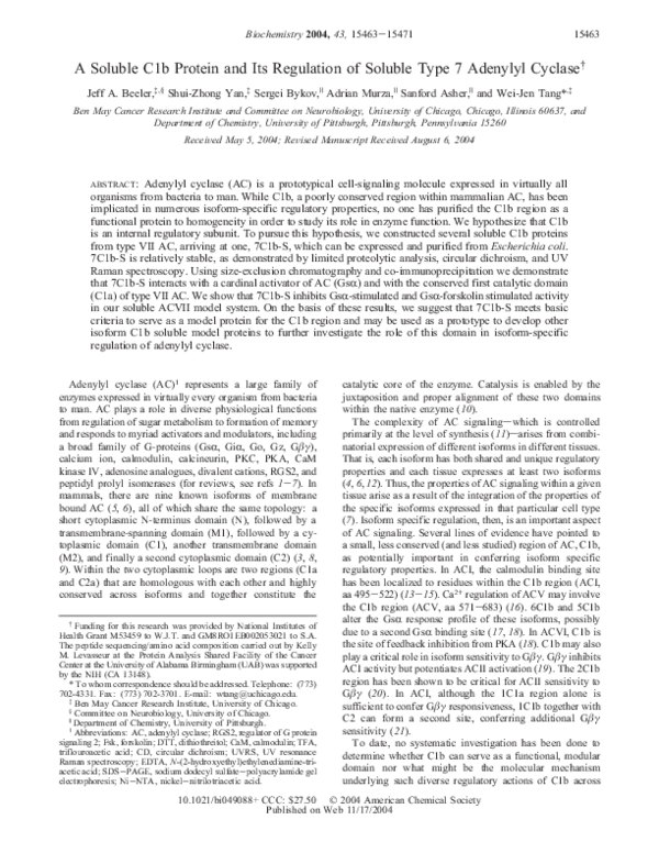 (PDF) A Soluble C1b Protein and Its Regulation of Soluble Type 7 Adenylyl Cyclase