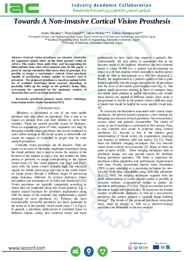(PDF) A Non-Invasive Cortical Vision Prosthesis