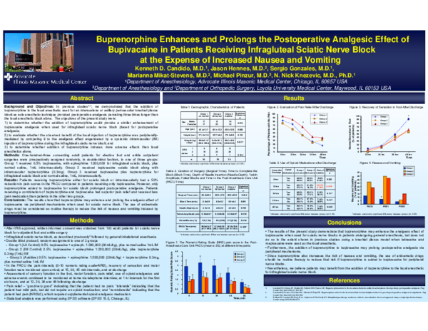 (PDF) Buprenorphine Enhances and Prolongs the Postoperative Analgesic ...