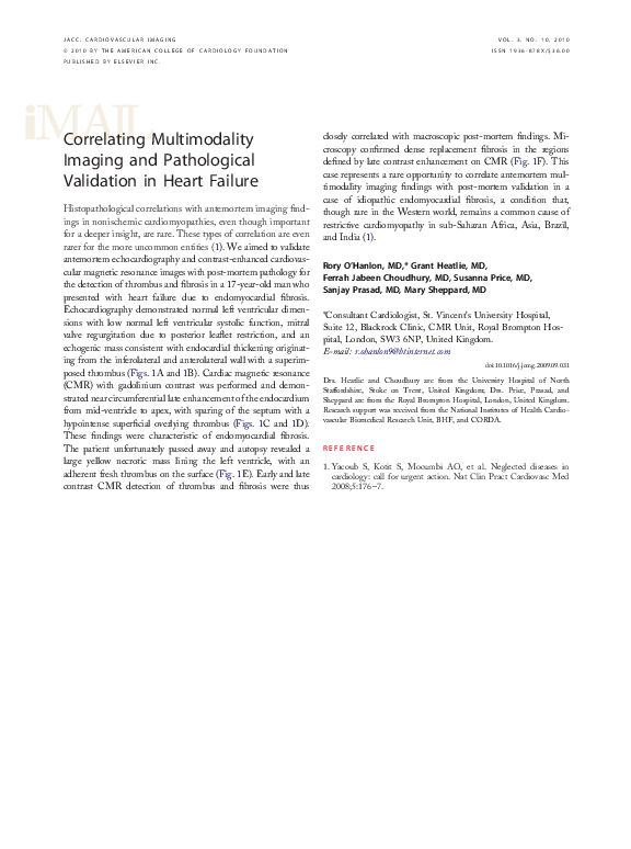 (PDF) Correlating Multimodality Imaging and Pathological Validation in ...