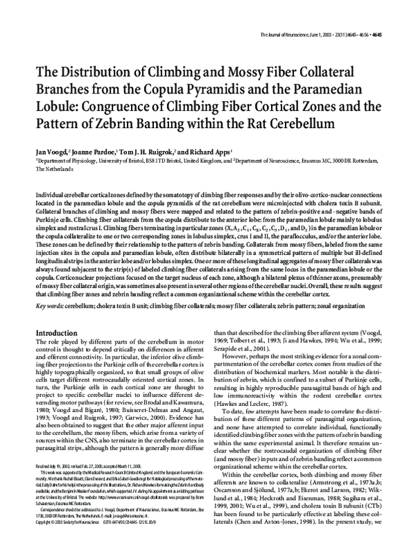 (PDF) The distribution of climbing and mossy fiber collateral branches ...