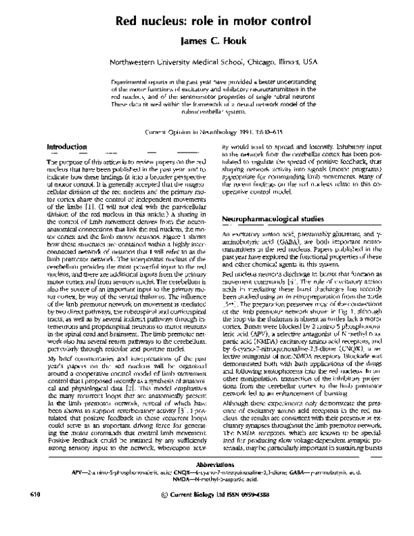 (PDF) Red nucleus: role in motor control