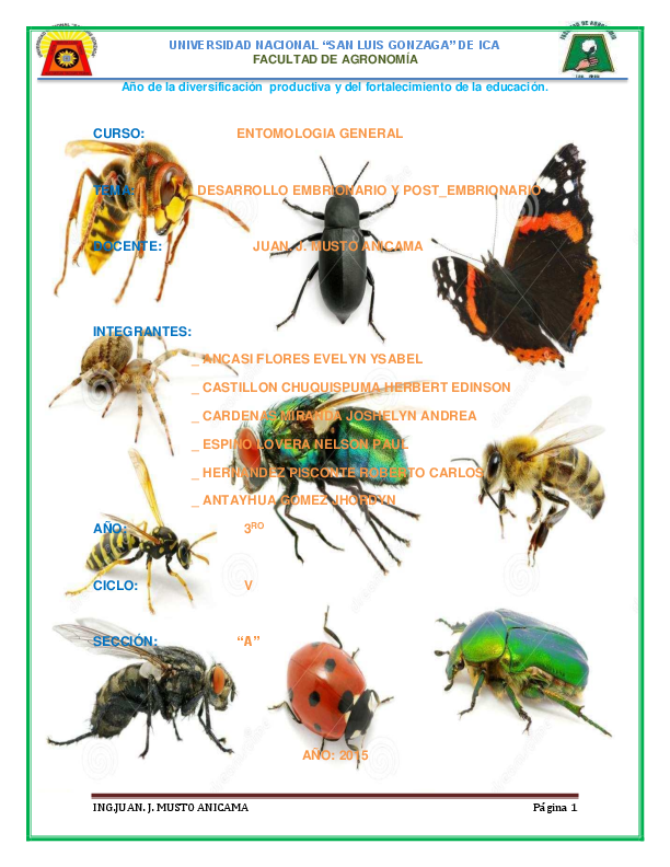(PDF) Estados de desarrollo de los insectos castillon TERMINADO