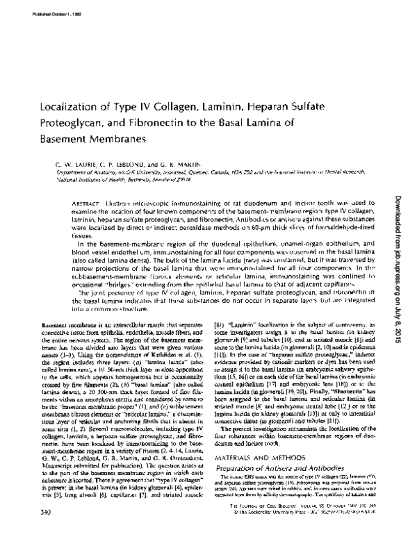(PDF) Localization of type IV collagen, laminin, heparan sulfate ...