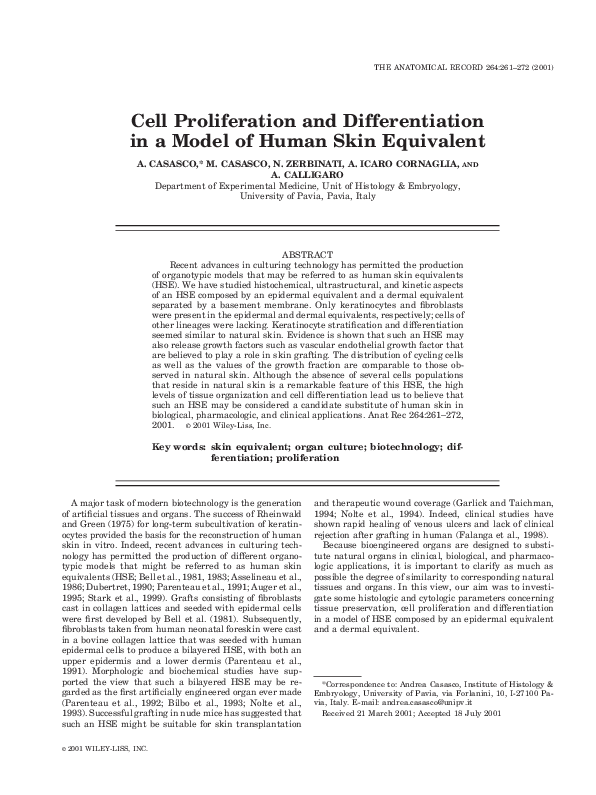 (PDF) Cell proliferation and differentiation in a model of human skin ...